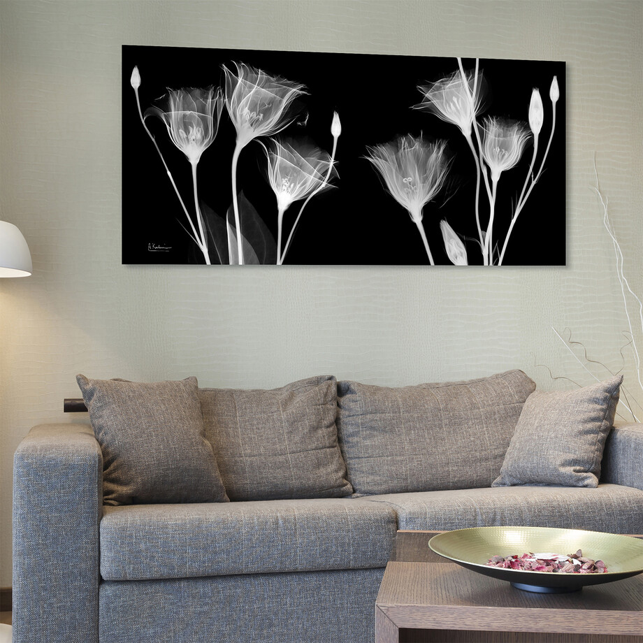 Albert Koetsier - Radiographic Tempered Glass Art - Touch of Modern