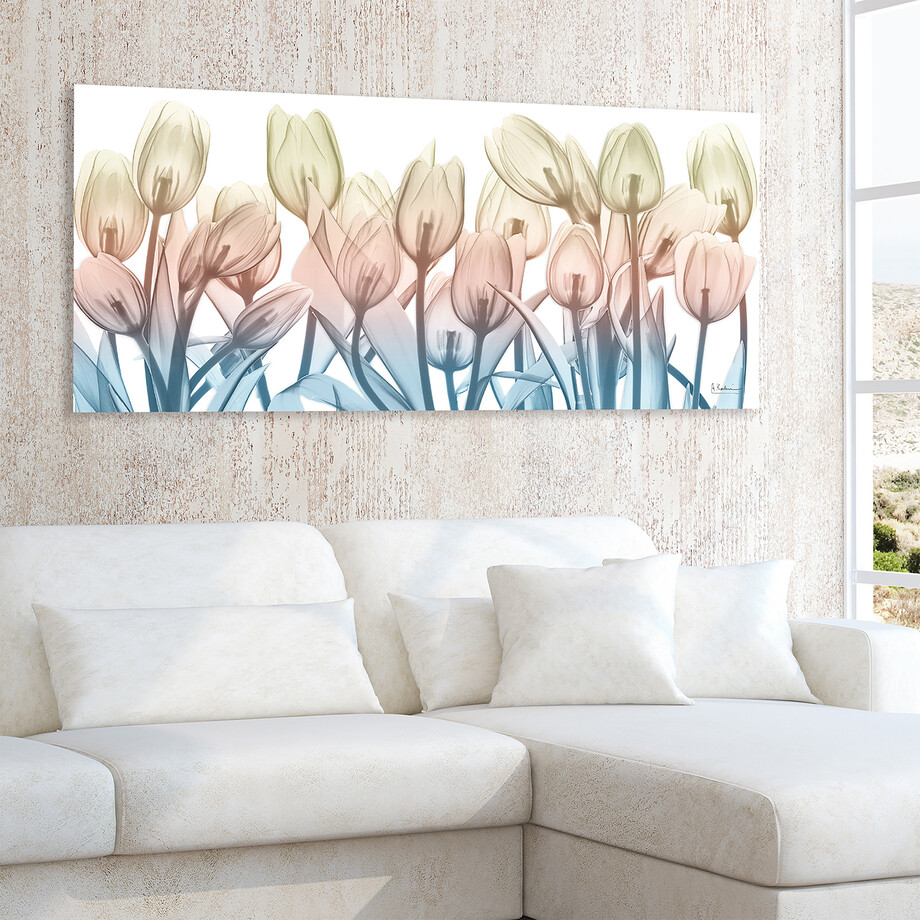 Albert Koetsier - Radiographic Tempered Glass Art - Touch of Modern