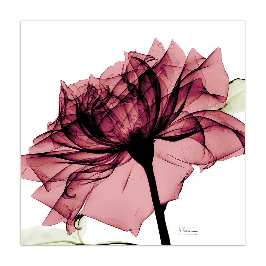 Albert Koetsier - Radiographic Tempered Glass Art - Touch of Modern