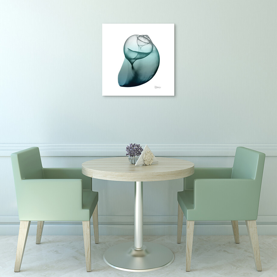 Albert Koetsier - Radiographic Tempered Glass Art - Touch of Modern