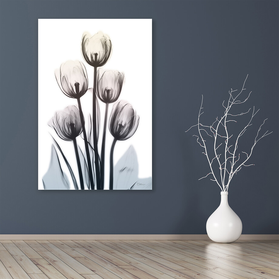 Albert Koetsier - Radiographic Tempered Glass Art - Touch of Modern