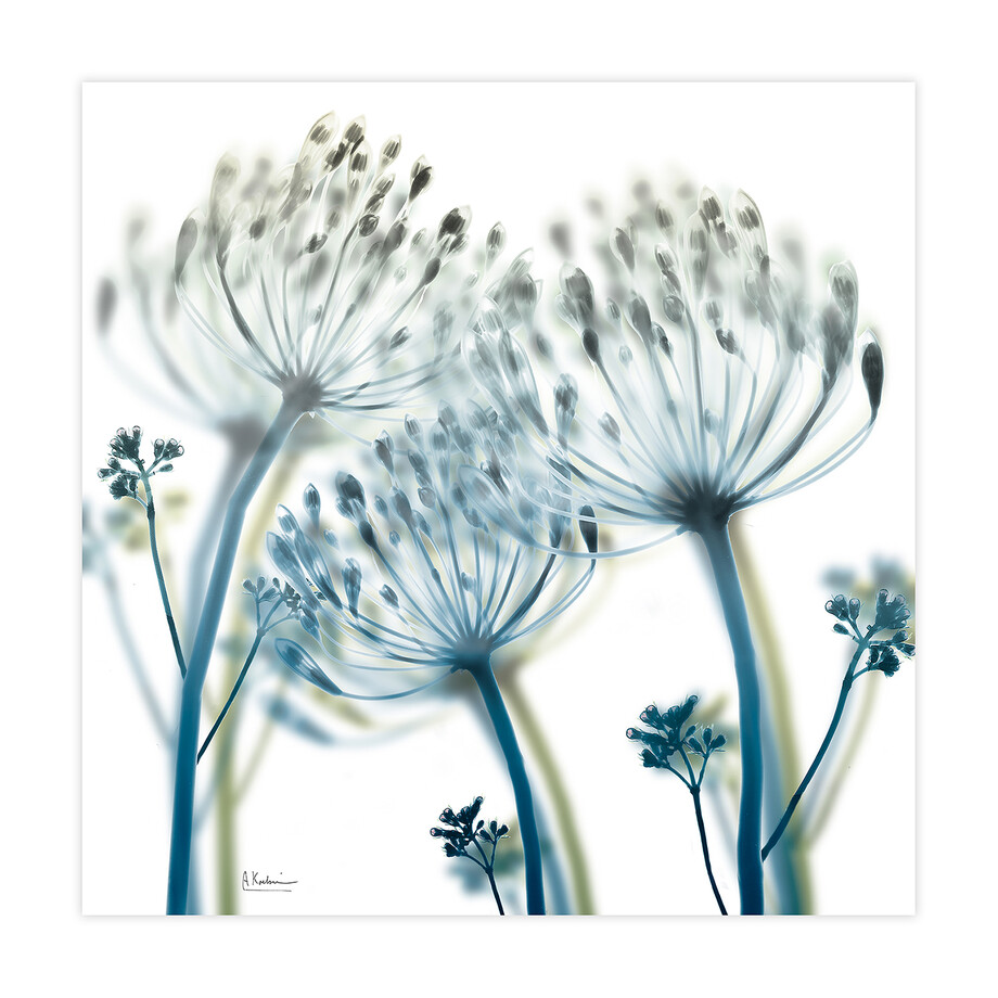 Albert Koetsier - Radiographic Tempered Glass Art - Touch of Modern