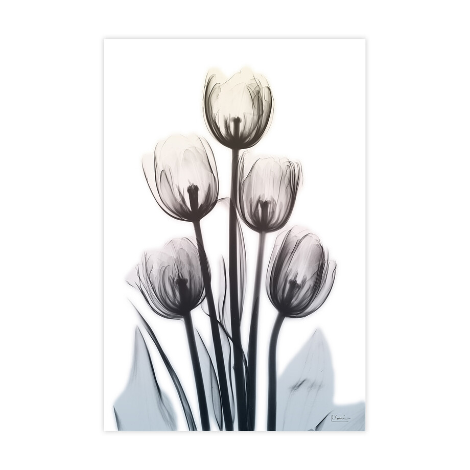 Albert Koetsier - Radiographic Tempered Glass Art - Touch of Modern