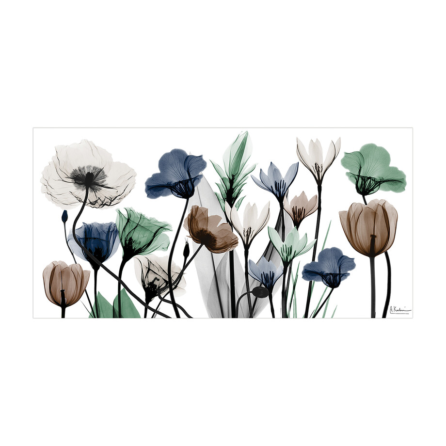 Albert Koetsier - Radiographic Tempered Glass Art - Touch of Modern