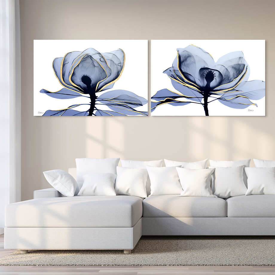 Albert Koetsier - Radiographic Tempered Glass Art - Touch of Modern