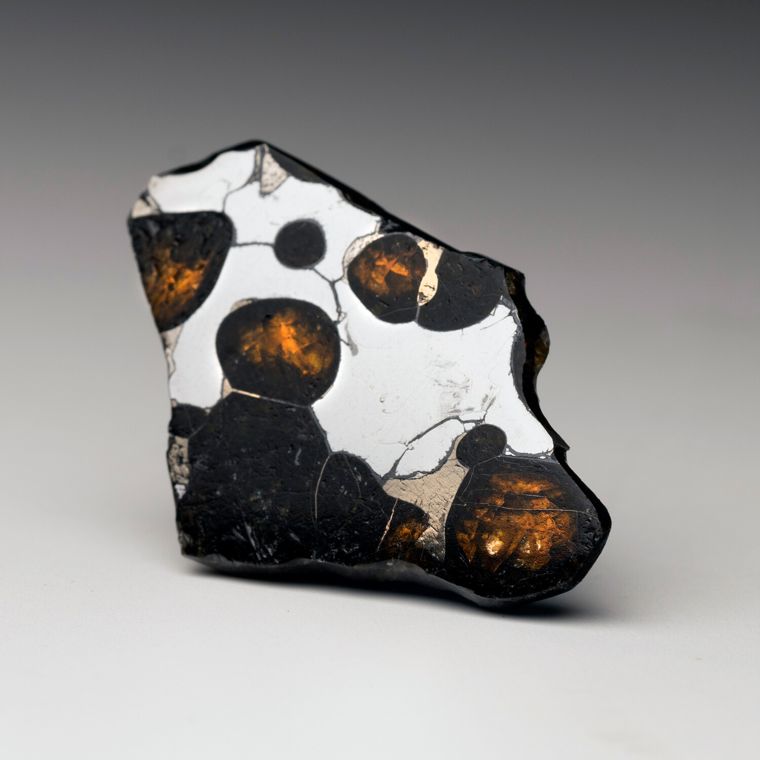 Pallasite Slice // Ver. 2 - Astro West - Touch of Modern