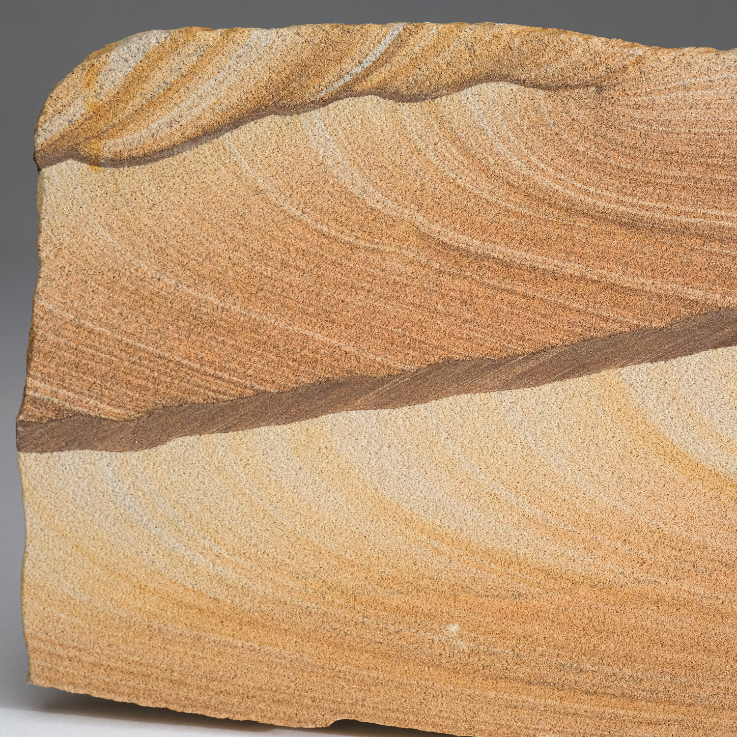 Genuine Natural Sandstone Slice - Astro Gallery - Touch of Modern