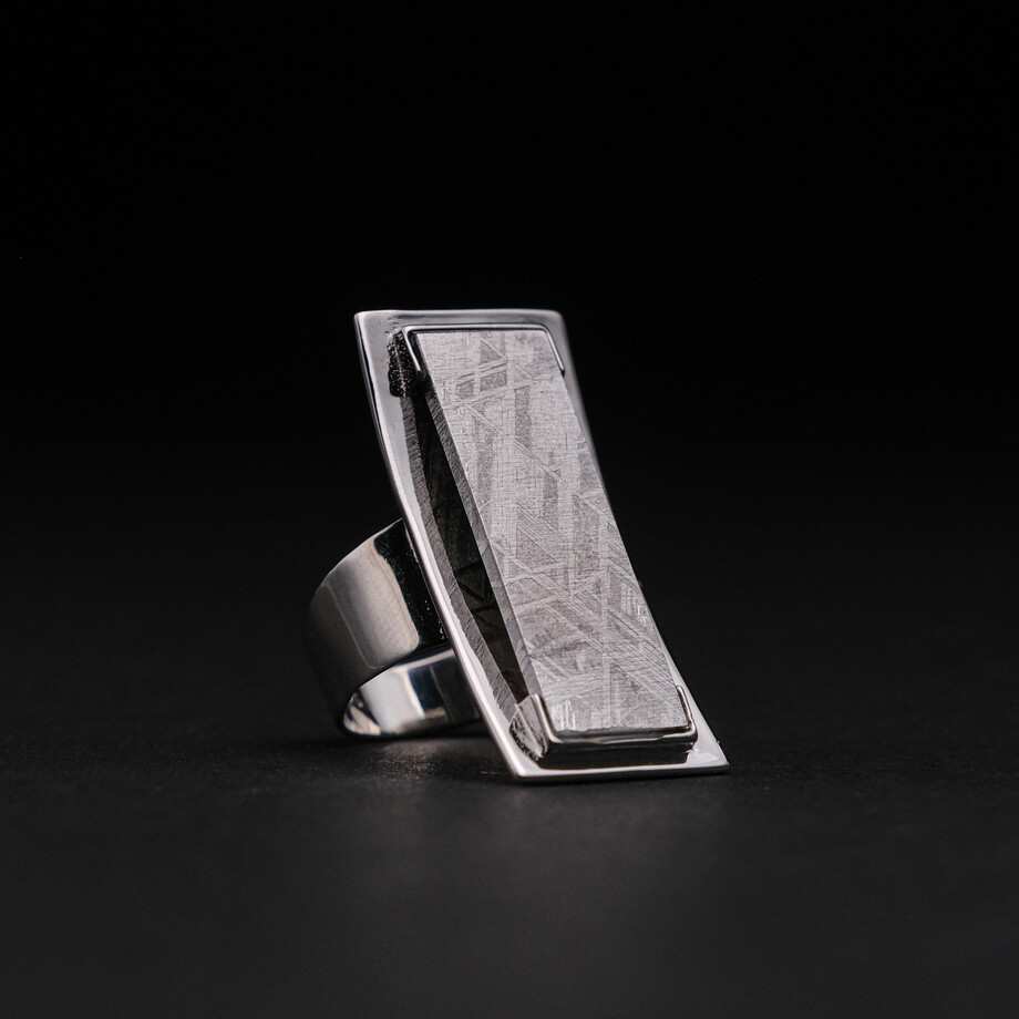 Astro Gallery - Magnificent Meteorites - Touch of Modern