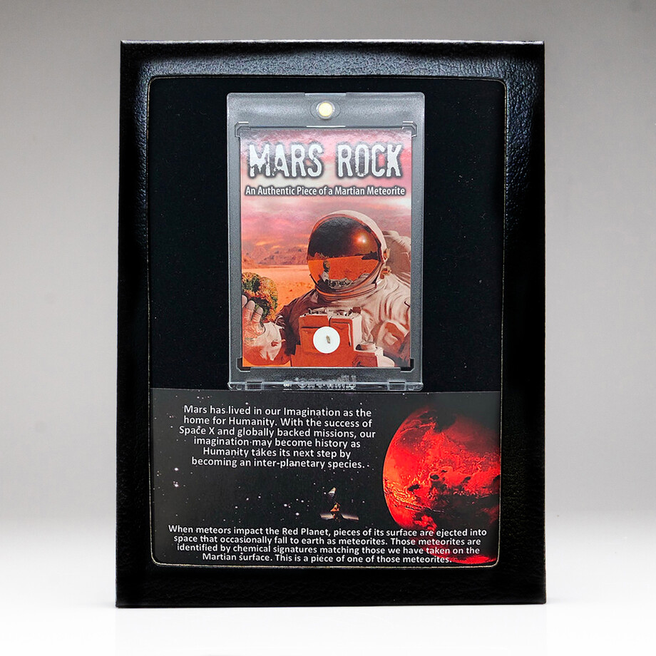 Astro Gallery - Magnificent Meteorites - Touch of Modern