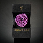 Single Floret // Violet Eve - Eternal Rose - Touch of Modern