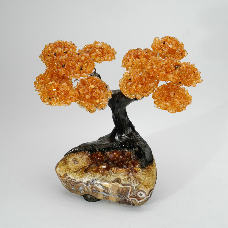 Astro Gallery - Empowering Crystal Trees - Touch of Modern