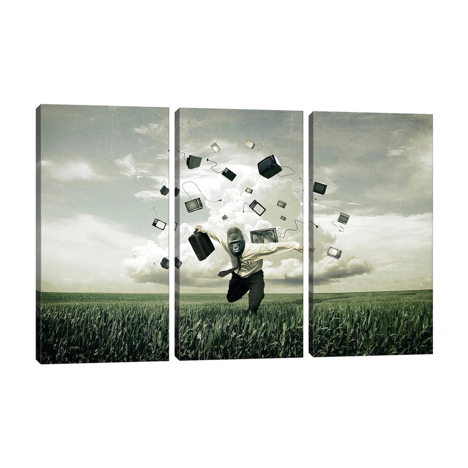Trending Triptych Art - Looking Into A Dream - Touch of Modern