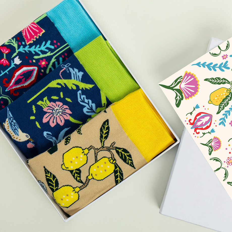 Sock Affairs - Fine Art For Your Feet - Touch of Modern