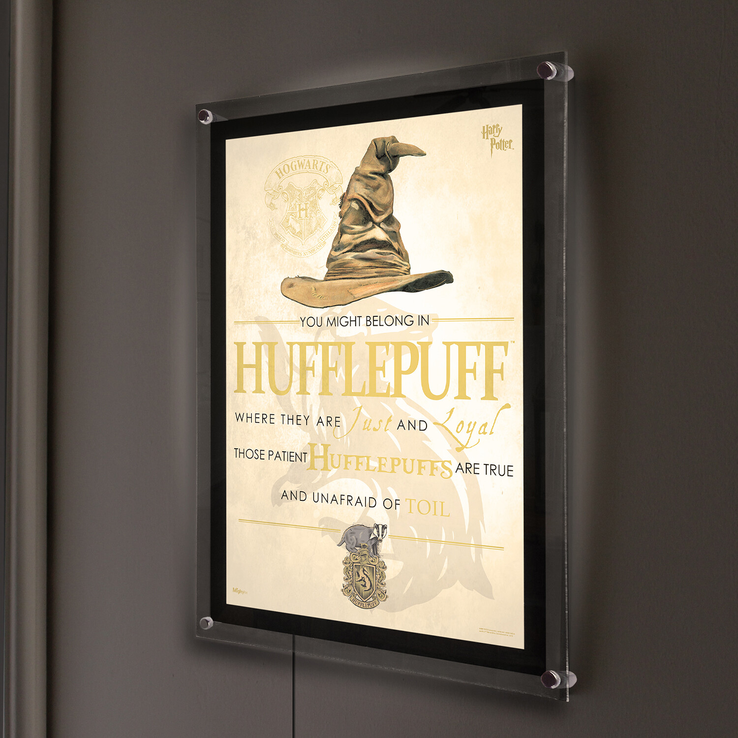 Harry Potter Sorting Hat Hufflepuff Mightyprint™ Wall Art