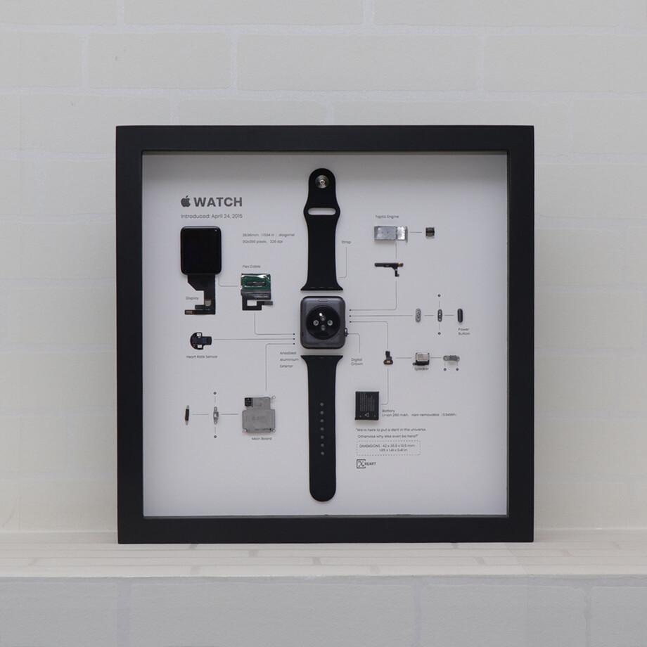 XreArt Framed Disassembled Tech - Teardown Tech Is Art - Touch of Modern
