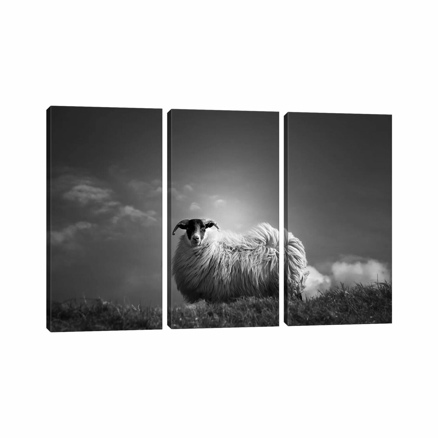 Le Fluff by Dorit Fuhg - Animal Triptychs - Touch of Modern