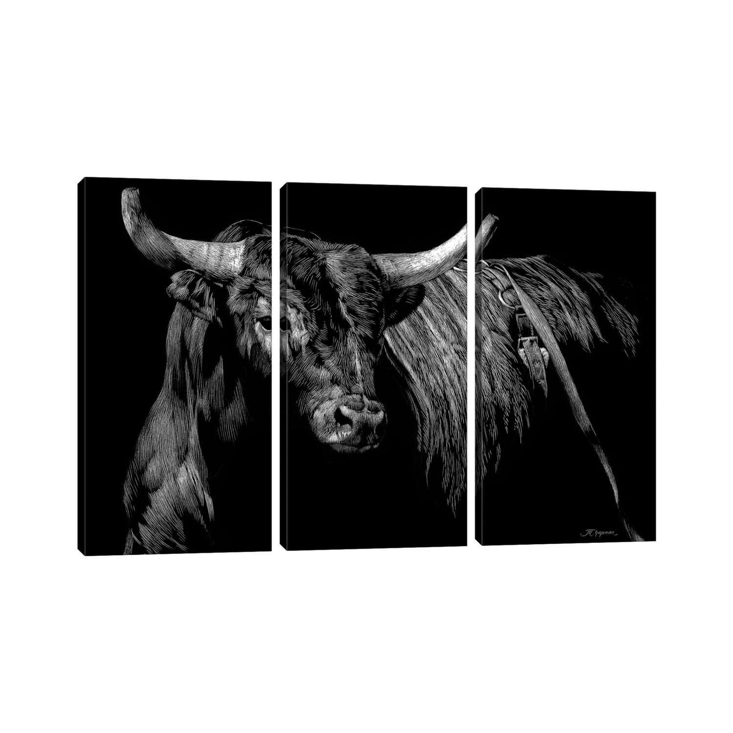 Brindle Rodeo Bull by Julie T. Chapman - Animal Triptychs - Touch of Modern