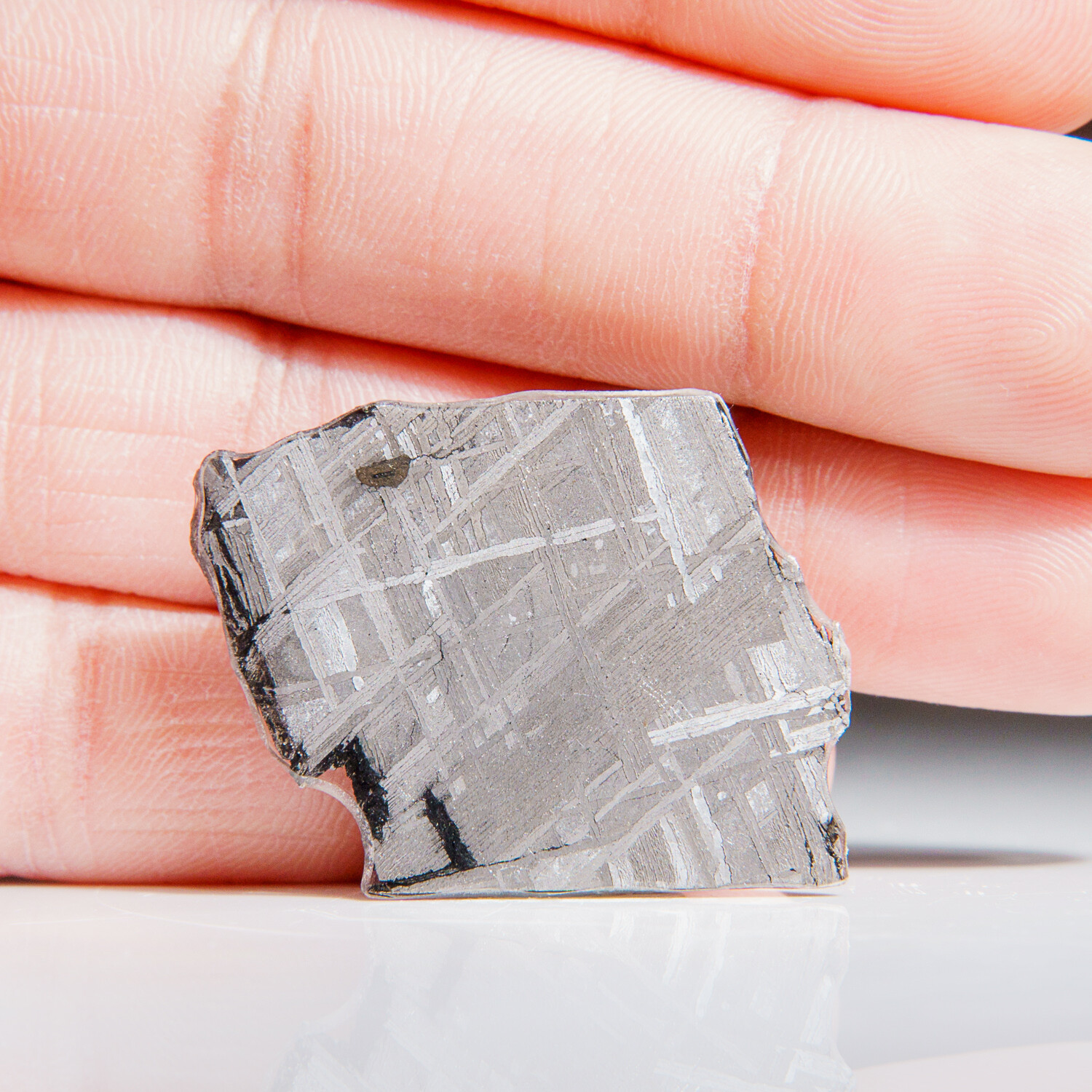 Genuine Natural Muonionalusta Meteorite Slice in Display Box // 8.1 g ...