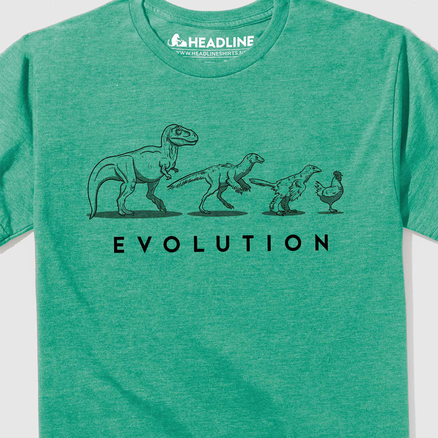 Evolution of the Dinosaur T-Shirt (XS) - Headline Graphic Tees - Touch ...