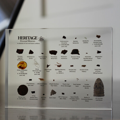 Engineered Labs Artifact & Specimens - Your Very Own Museum - Touch of ...