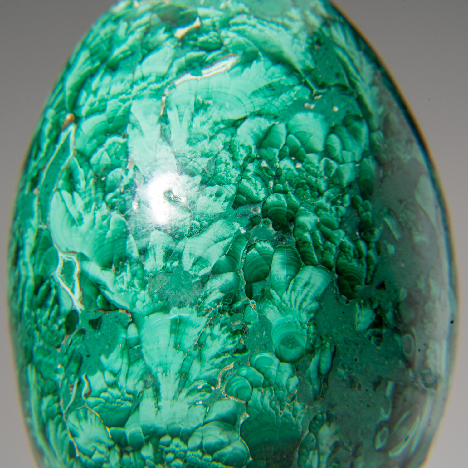 Genuine Polished Malachite Egg + Acrylic Display Stand - Astro Gallery ...