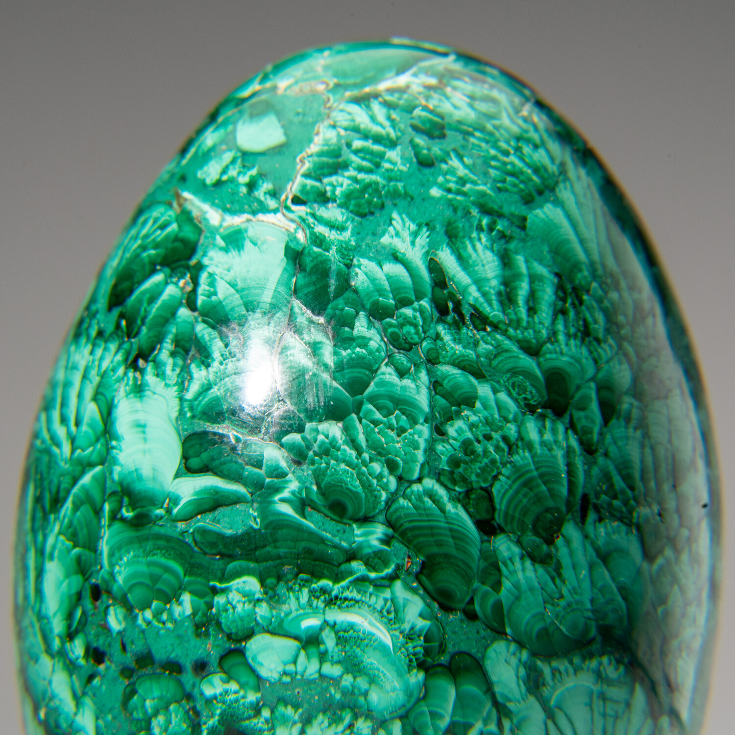 Genuine Polished Malachite Egg + Acrylic Display Stand - Astro Gallery ...