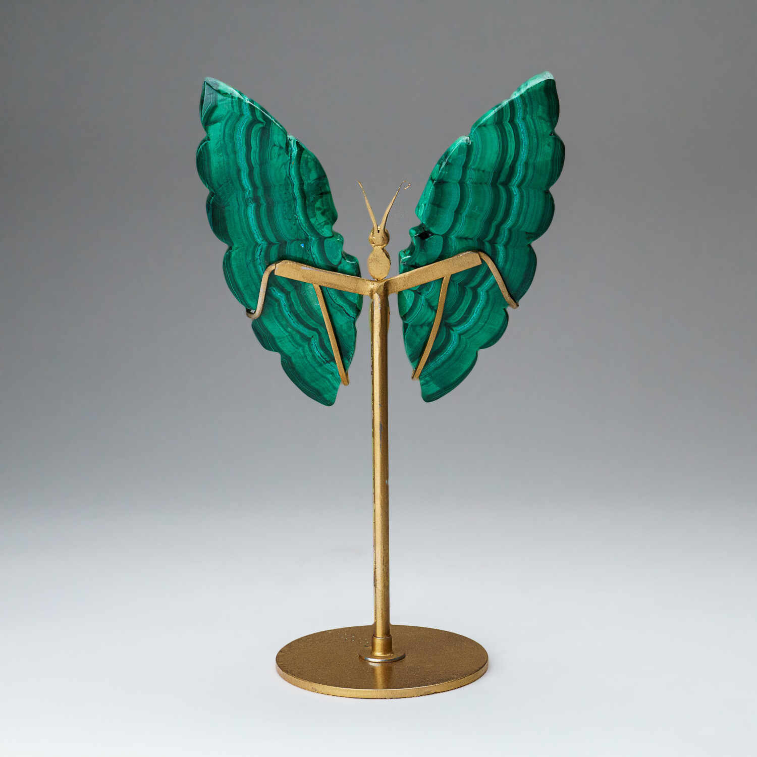 Genuine Polished Malachite Wings on Metal Stand - Astro Gallery - Touch ...