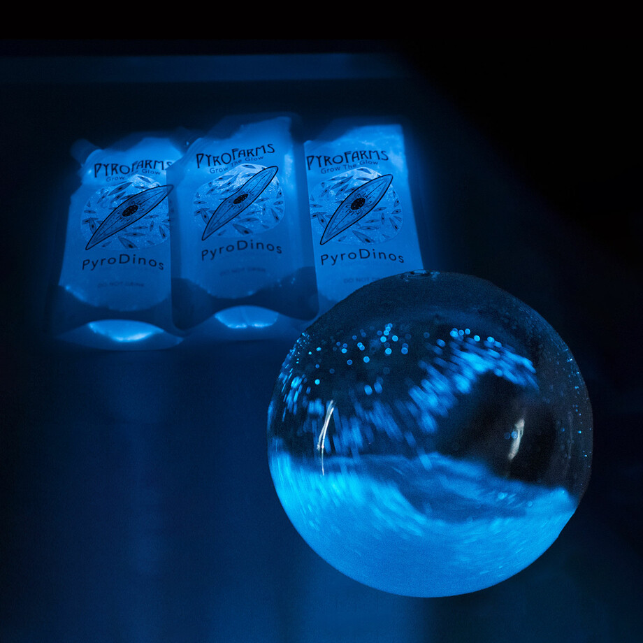 Pyrofarms - Bioluminescent Micro-aquariums - Touch of Modern