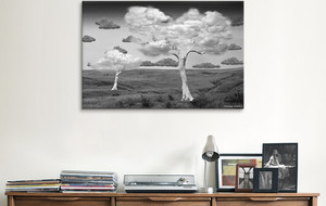 Thomas Barbèy - Surrealist Prints - Touch of Modern