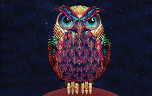 Ali Gulec - Awesome Art On Canvas - Touch of Modern