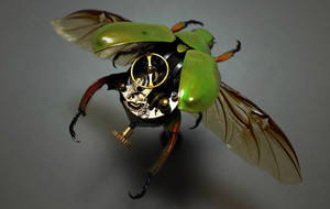 Insect Lab - Mechanically Customized Insect Displays - Touch of Modern