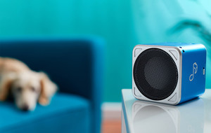 Pet Acoustics Speakers - Calming Music For Pets - Touch of Modern