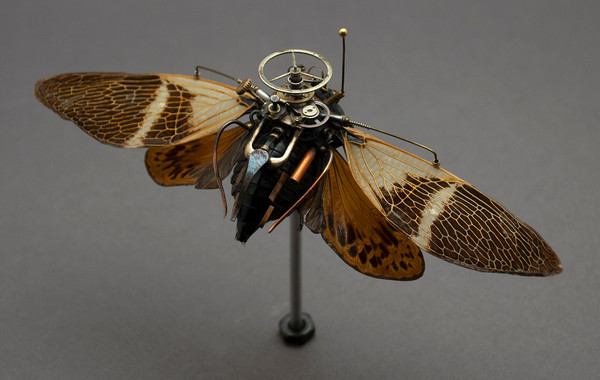 Insect Lab - Custom Mechanical Insect Sculptures - Touch of Modern