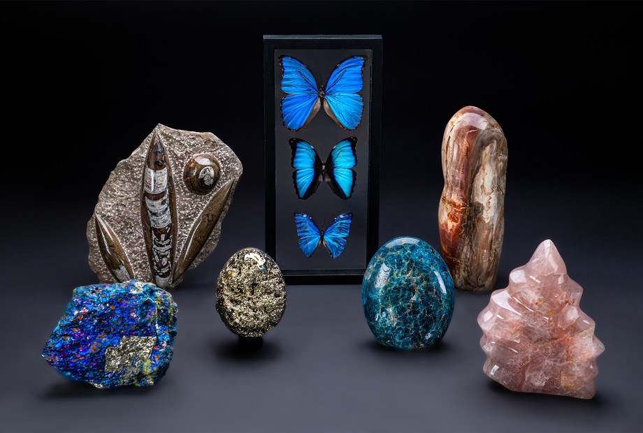 Touch of Modern | Modern Products & Styles