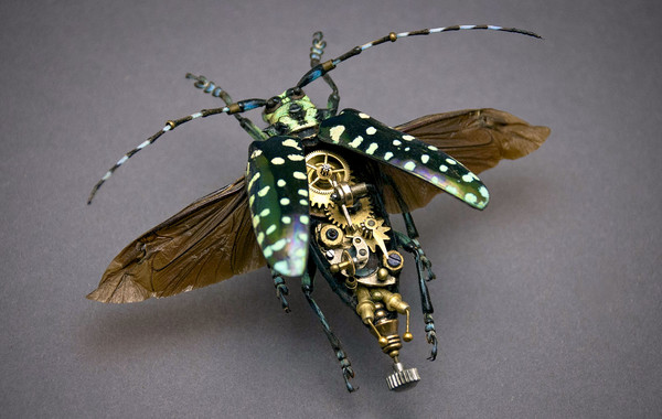 Insect Lab - Biomechanical Insect Sculptures - Touch of Modern