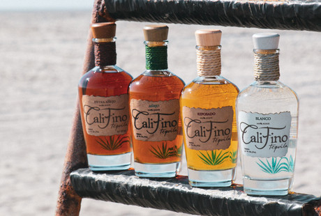 Touch of Modern | Modern Products & Styles