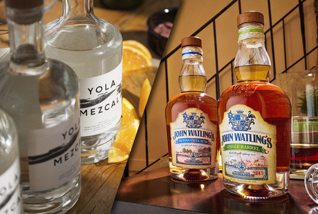 Touch of Modern | Modern Products & Styles