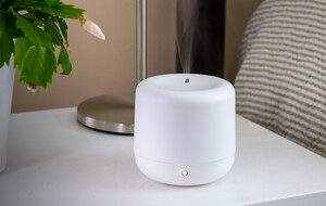 NOMA - Air Purifiers & Humidifiers - Touch of Modern