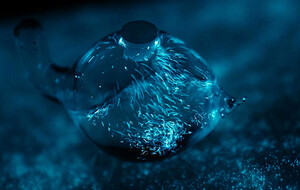 PyroFarms - Bioluminescent Micro-aquariums - Touch of Modern