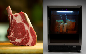 Steak Locker - Smart Dry-Aging Mini-Fridge - Touch of Modern