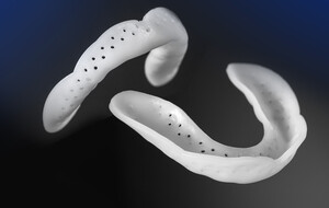SOVA Night Guard - Custom-Fit Nighttime Dental Guard - Touch of Modern