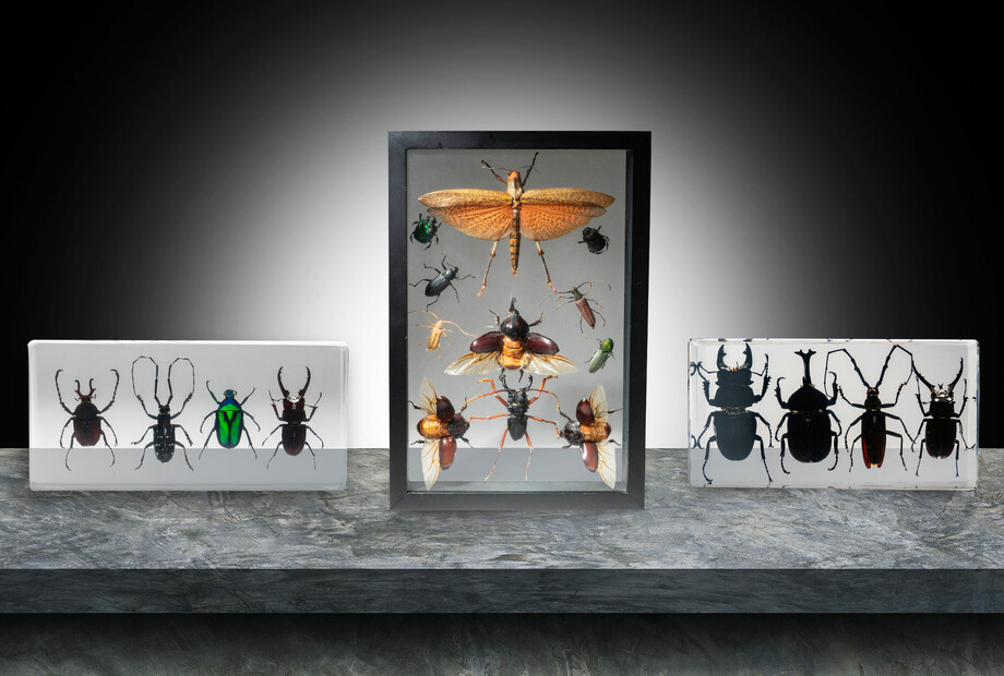 Indosoul - Luxury Outdoor Furniture - Touch of Modern