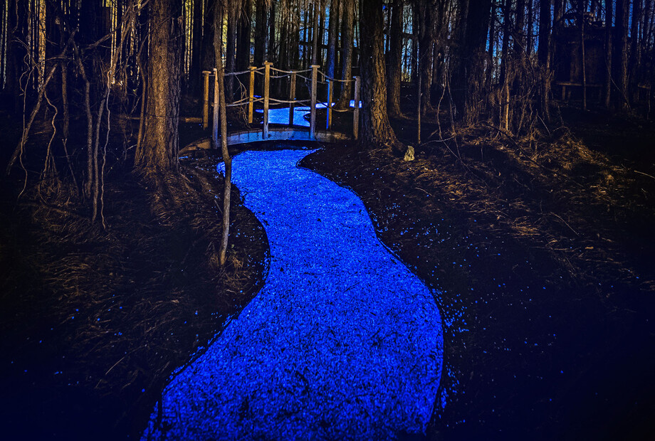 ROK Espresso Machine (Silver) - ROK - Touch of Modern