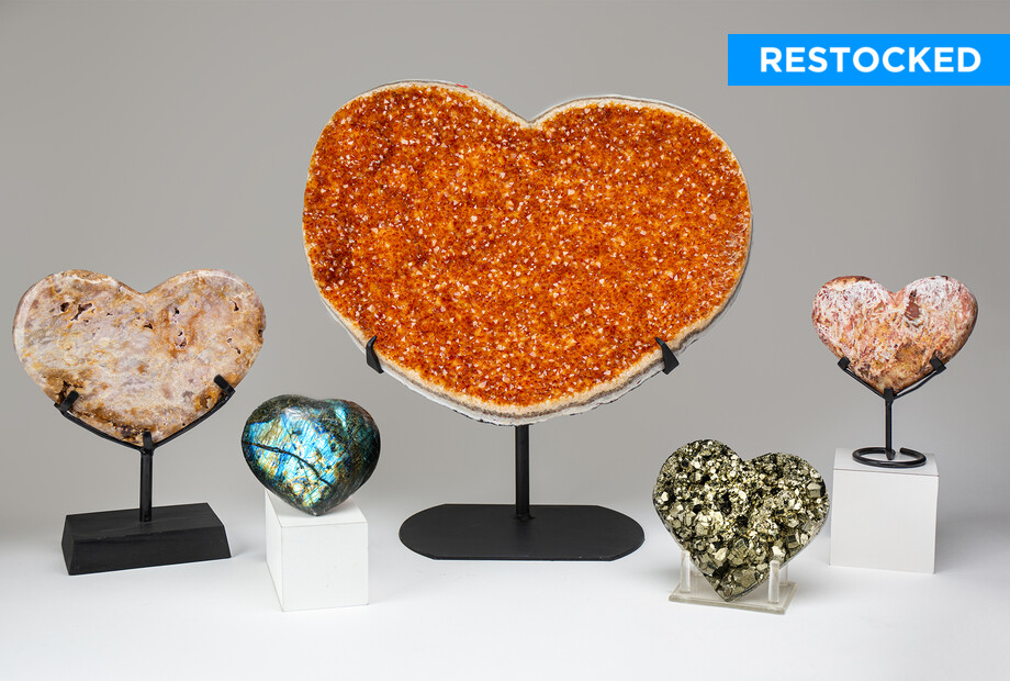 PodTime - Modular Sleep Pods - Touch of Modern