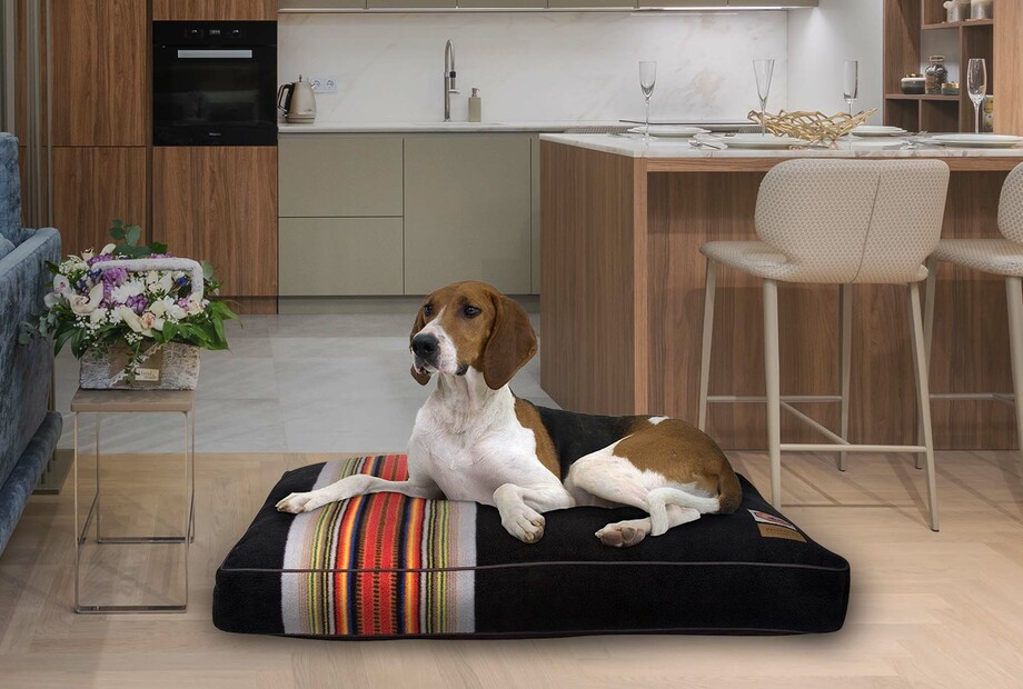 Pulse II Solo - Hot Octopuss - Touch of Modern