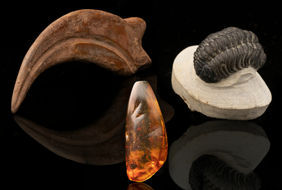 Number 8 // 1949 - Jackson Pollock - Touch of Modern