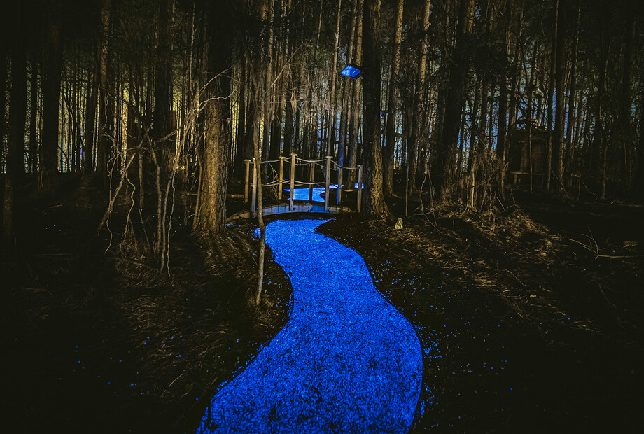 Pulse II Solo - Hot Octopuss - Touch of Modern