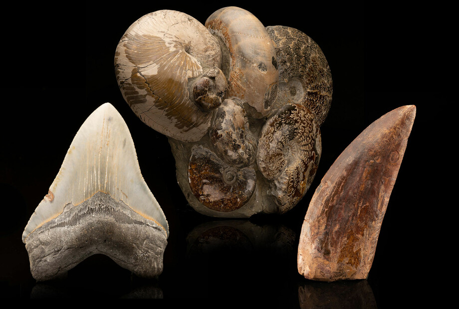 Pantone - The Language of Color - Touch of Modern