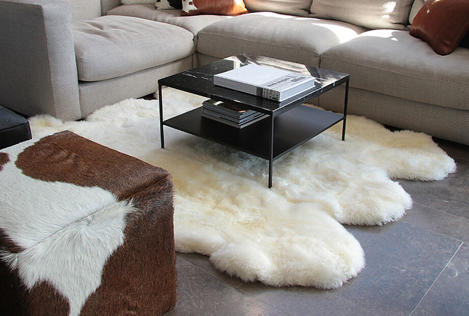 Pantone - The Language of Color - Touch of Modern