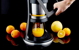 JUSE - Minimalist Manual Press Juicer - Touch of Modern
